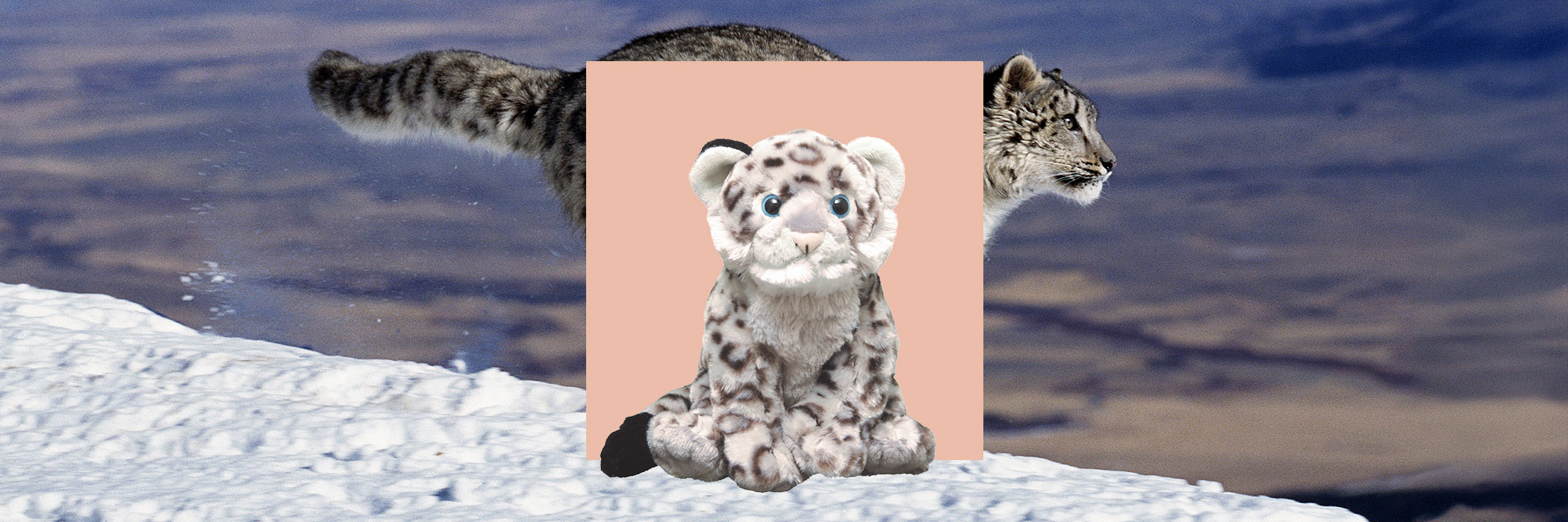 World Wildlife Fund | WWFGifts Catalog