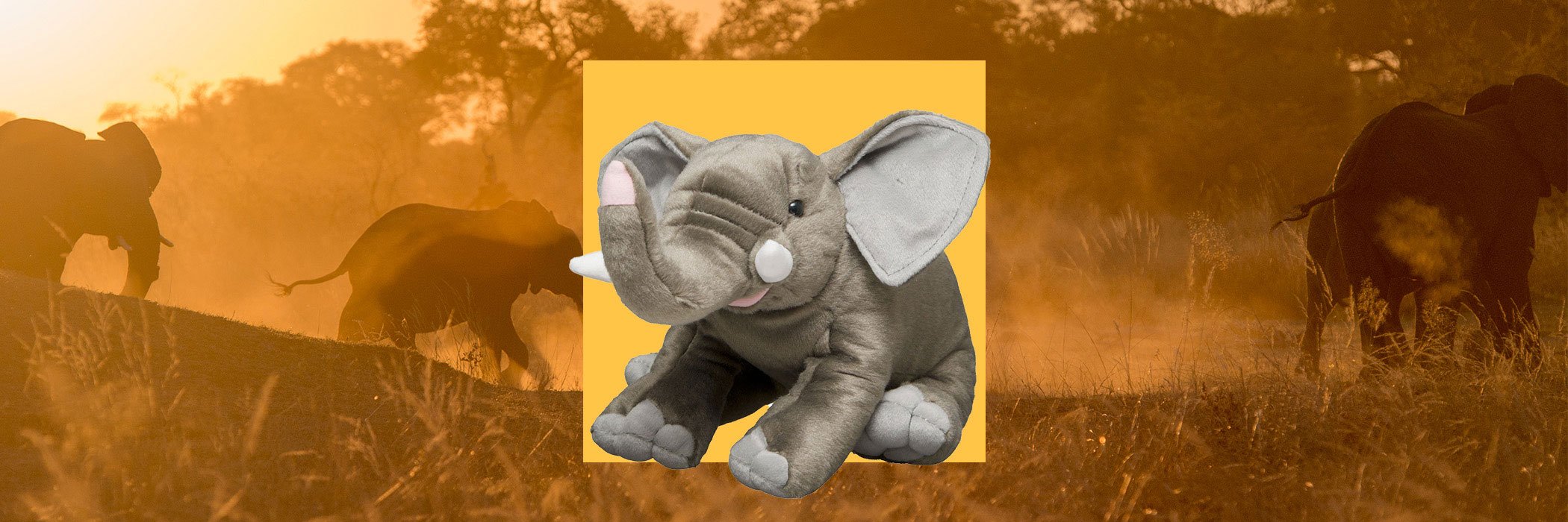 World Wildlife Fund | WWFGifts Catalog