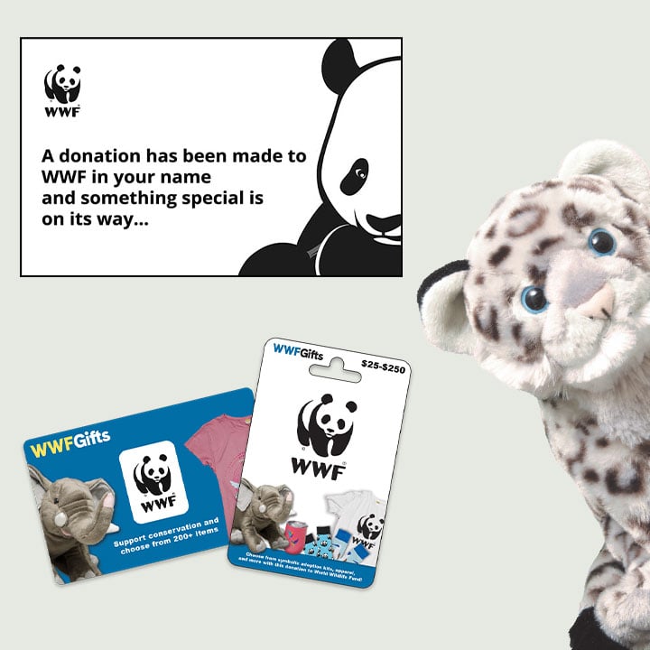 World Wildlife Fund | WWFGifts Catalog