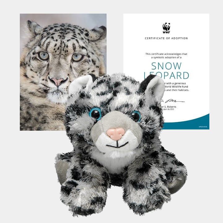 World Wildlife Fund | WWFGifts Catalog